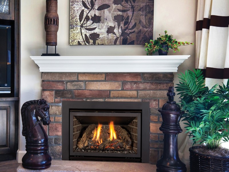 Chaska 25 - Rochester Fireplace